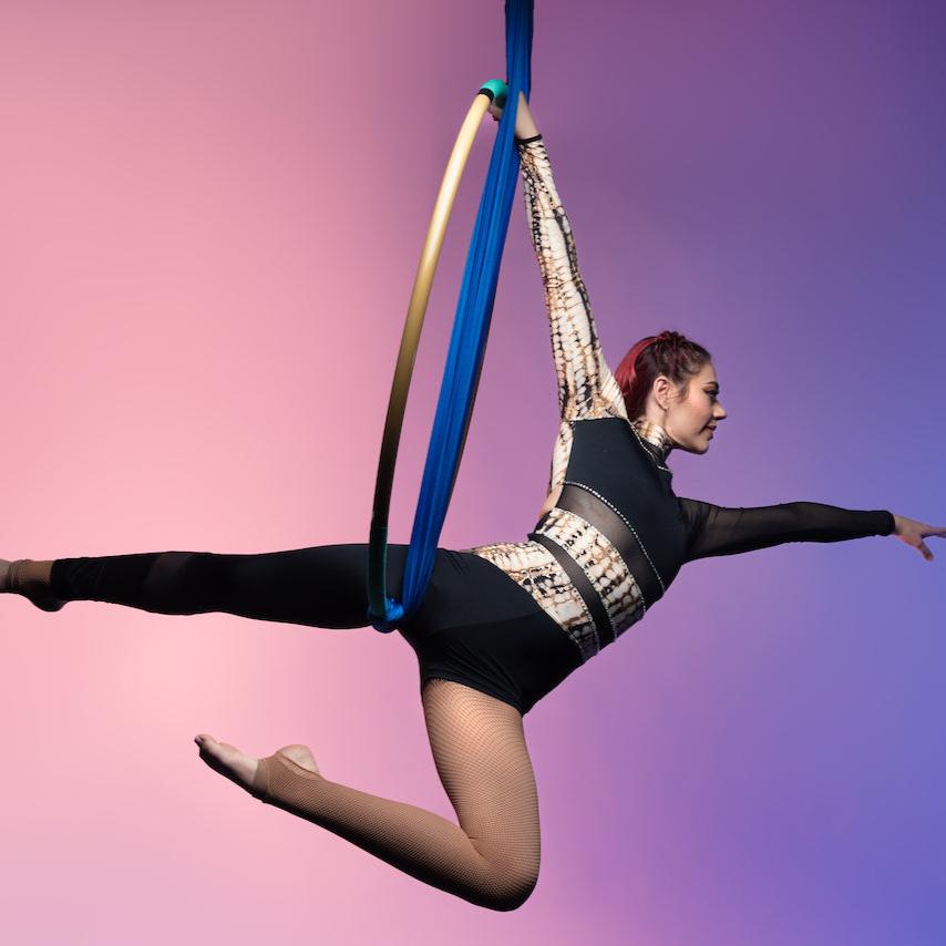 Safe Aerial Silks Fabric Rigging & Apparatus Aerial Nonsense