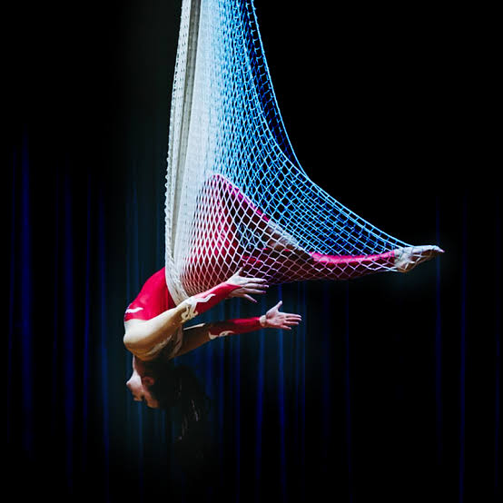 Safe Aerial Silks Fabric Rigging & Apparatus Aerial Nonsense
